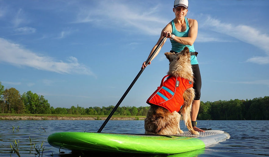 How To SUP With Your PUP: Getting Your PUP Back On The SUP | Ruffwear