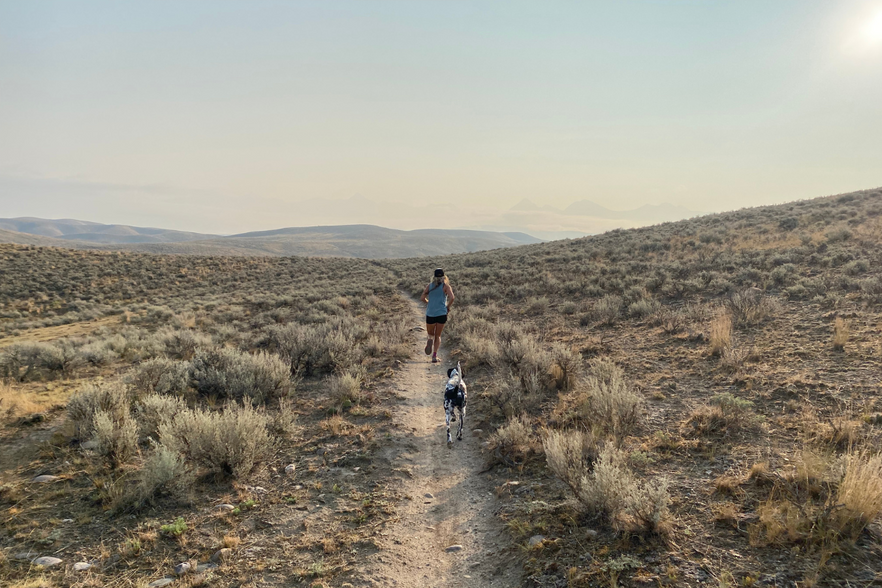 Guide: How to Run With Your Dog | Ruffwear