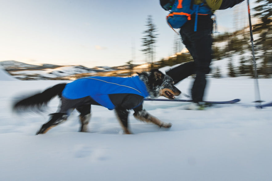 Winter Dog Gear: Dog Coats, Boots, & More for Cold Weather | Ruffwear