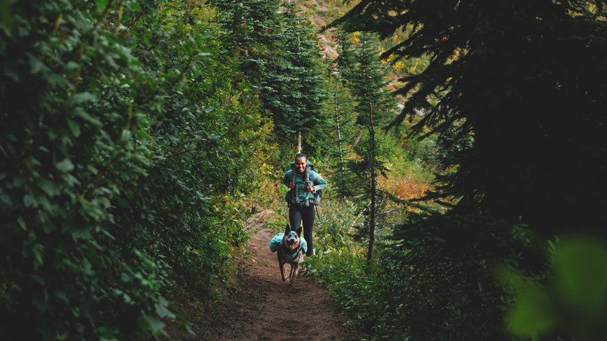 River Rock Green | Ruffwear