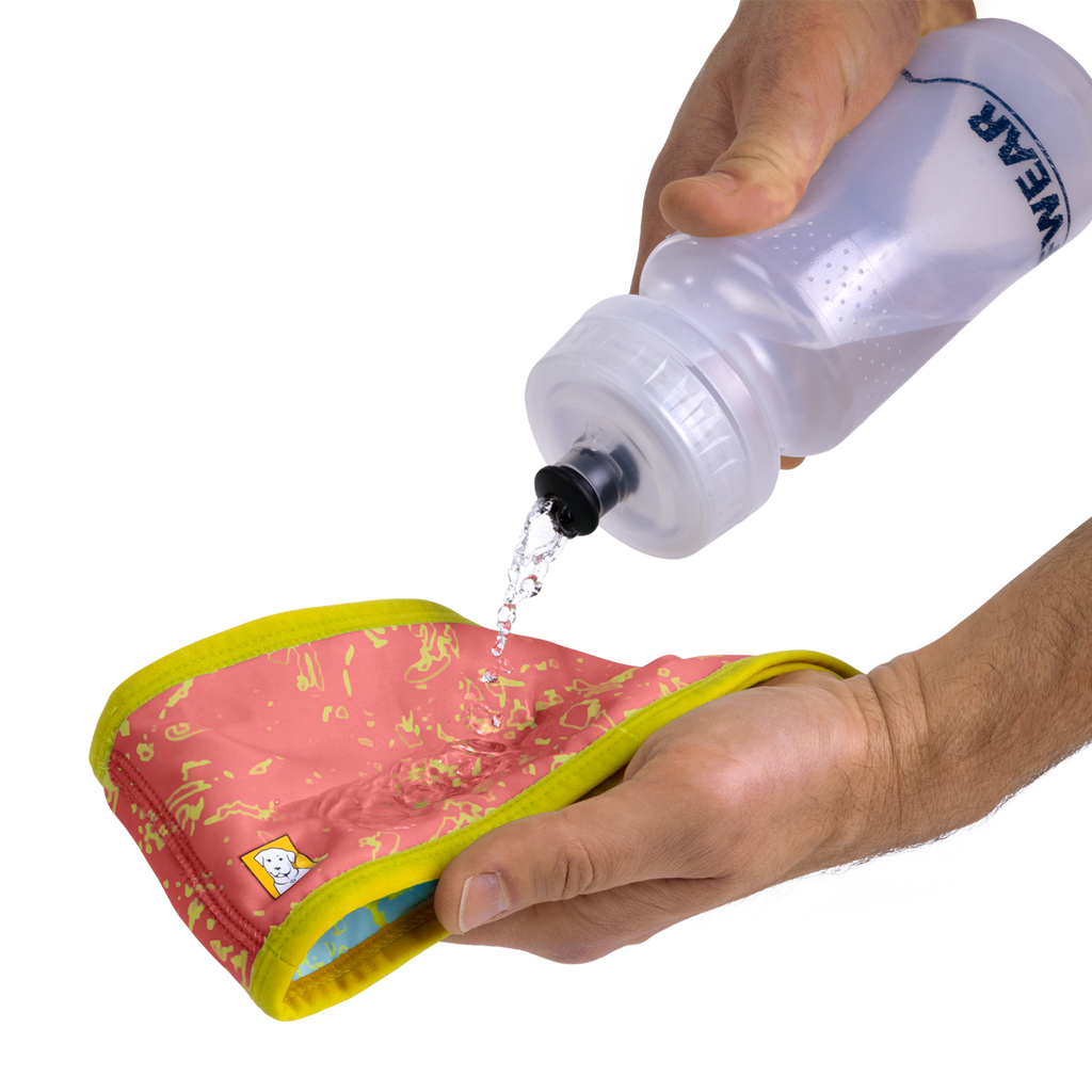 Swamp Cooler™ Cooling Neck Gaiter | Ruffwear