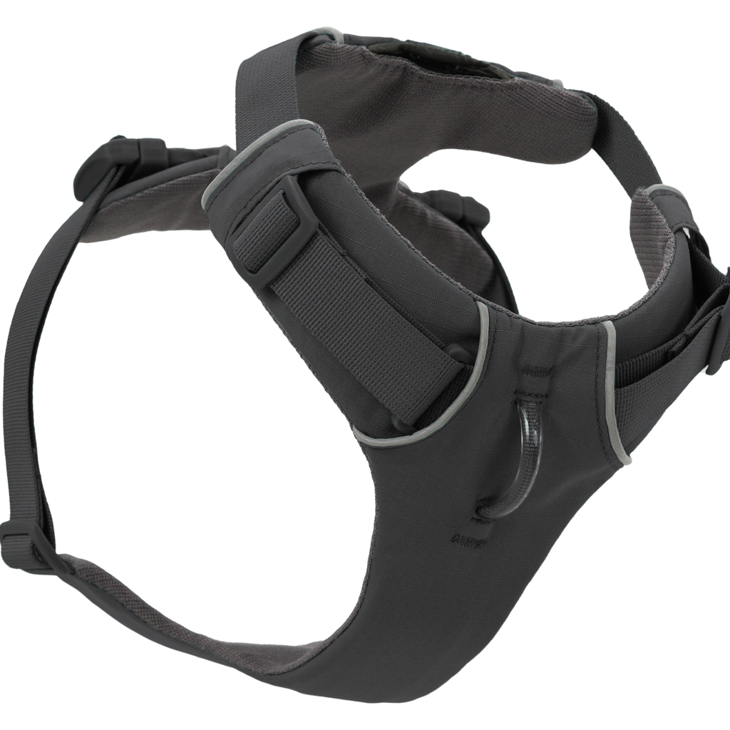 Front Range® Dog Harness | Ruffwear