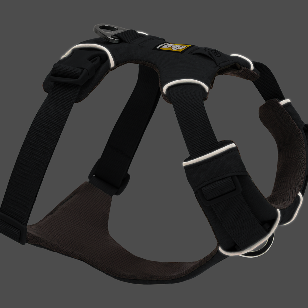 Front Range® Dog Harness | Ruffwear