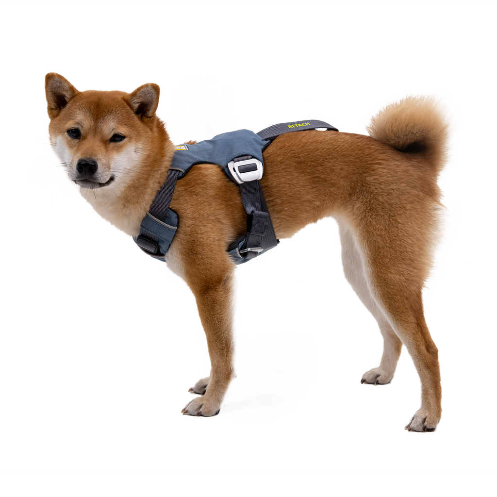 Load Up™ Crash Tested Dog Harness | Strength-Rated Hardware | Ruffwear