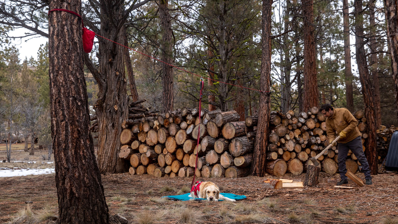 Knot-a-Hitch™ | Campsite Dog Tether System | Ruffwear