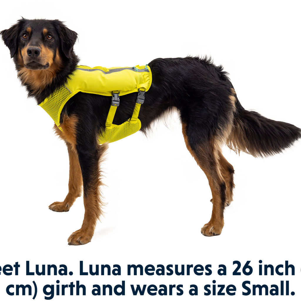 Trail Runner™ Dog Running Vest | Ruffwear