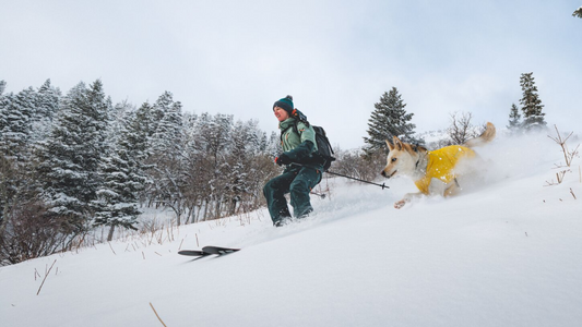 Grip Trex™ Dog Boots | Durable All-Terrain Paw Protection | Ruffwear