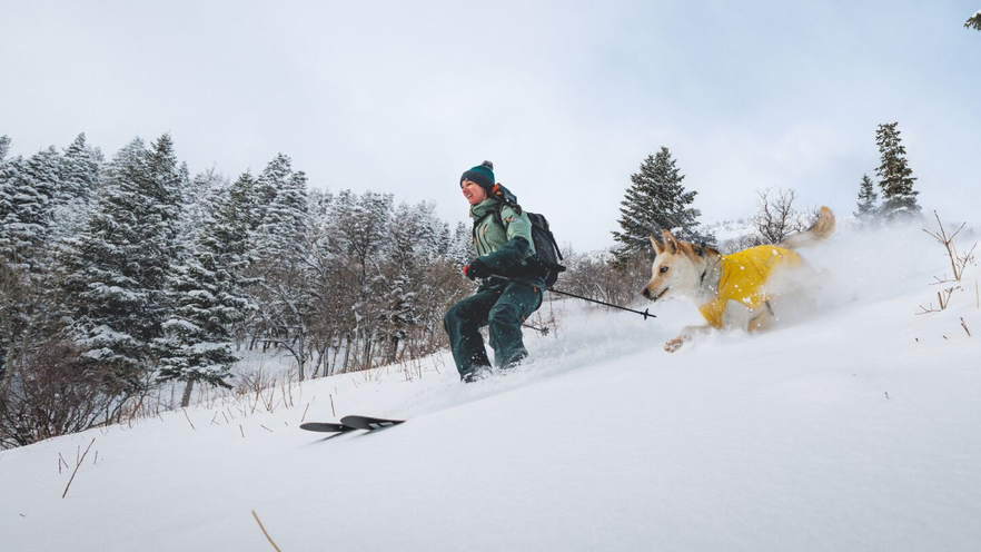 Dog Skiing Gear for Winter Activities | Ruffwear | Ruffwear
