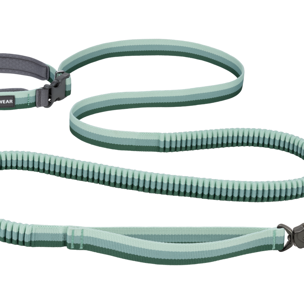 Roamer Lock™ Leash | Ruffwear