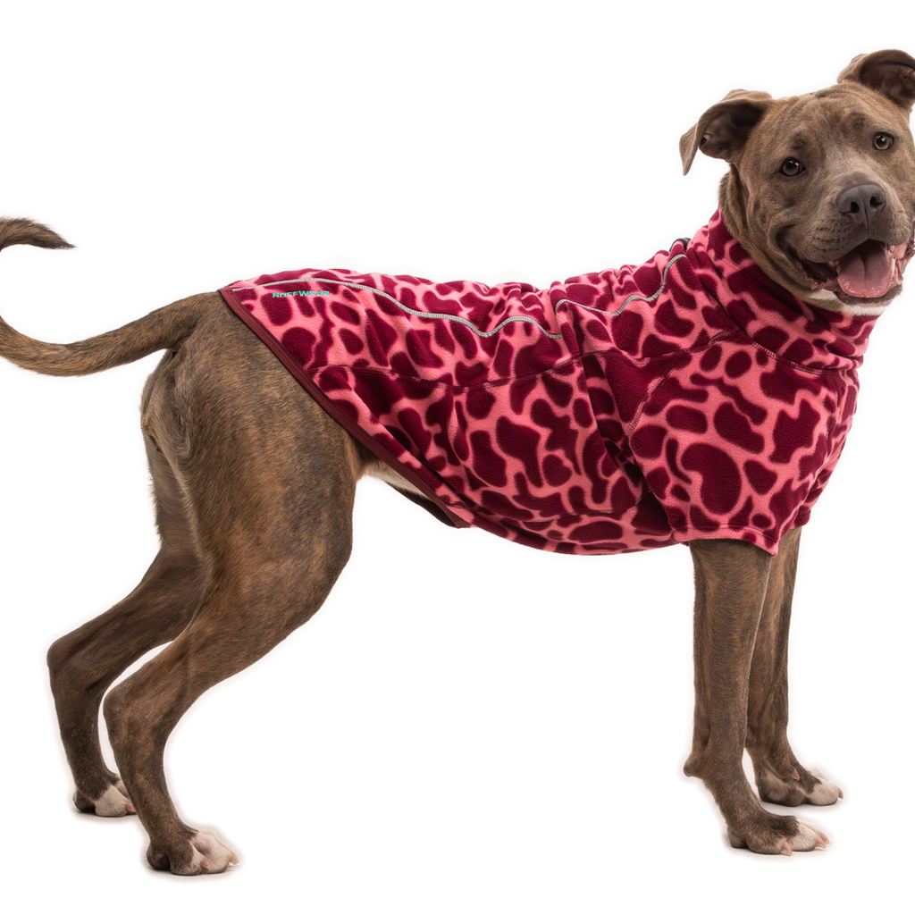 Climate Changer™ Fleece Jacket | Ruffwear