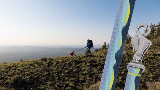Performance Dog Gear | Ruffwear