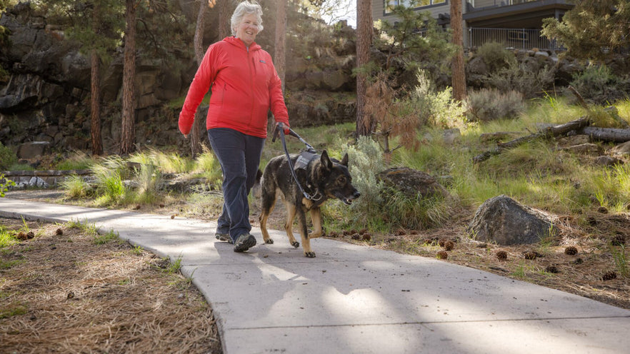 Guide Dog Leash | Service Dog Short Leash | Ruffwear