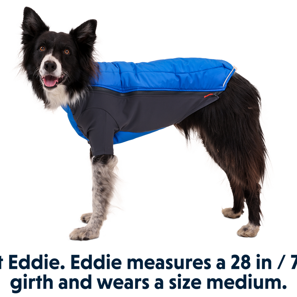 Powder Hound™ Winter Dog Jacket | Hybrid Insulated Winter | Ruffwear