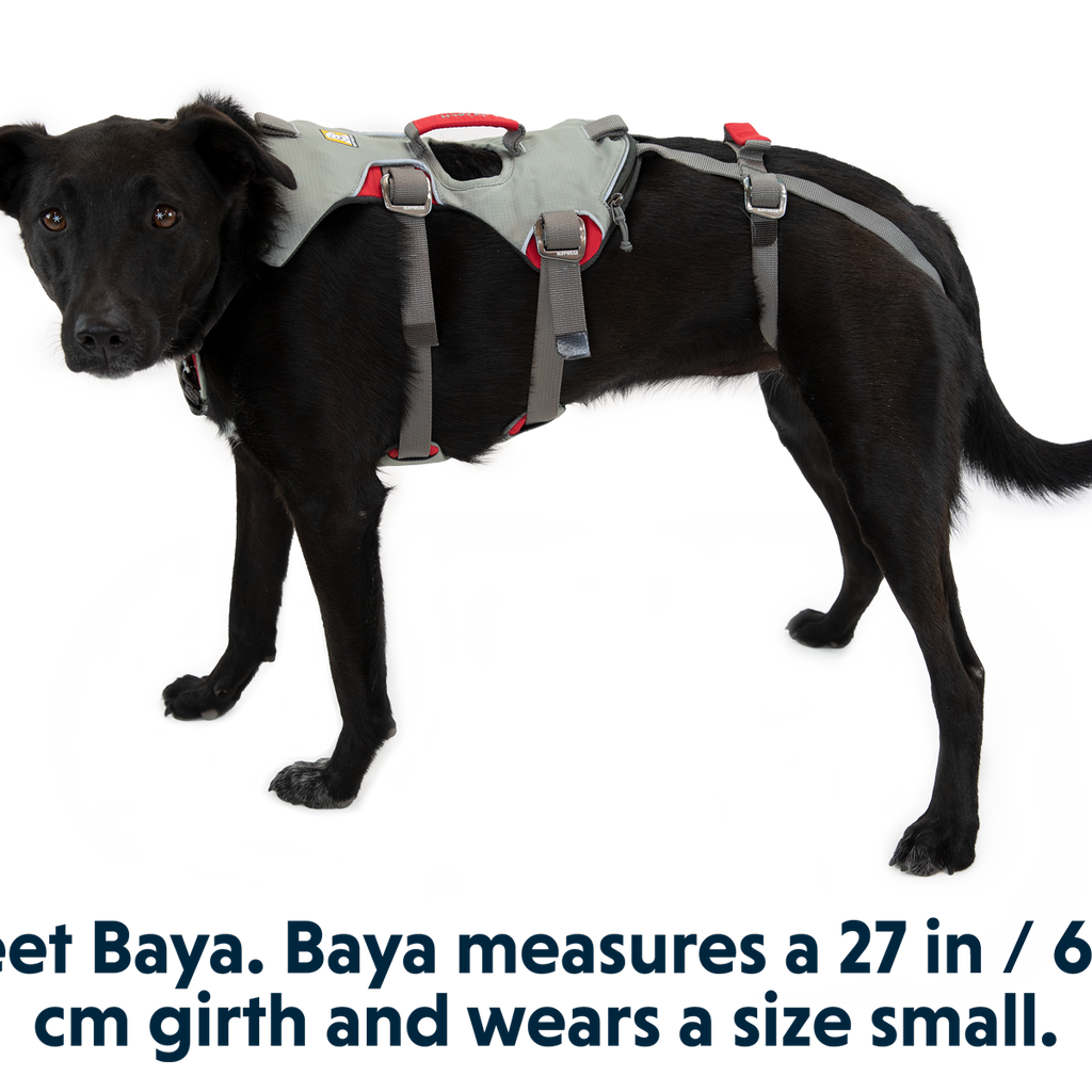 Doubleback™ Full Body Dog Safety Harness | Ruffwear