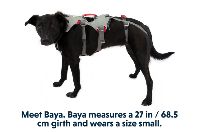 Doubleback™ Full Body Dog Safety Harness | Ruffwear