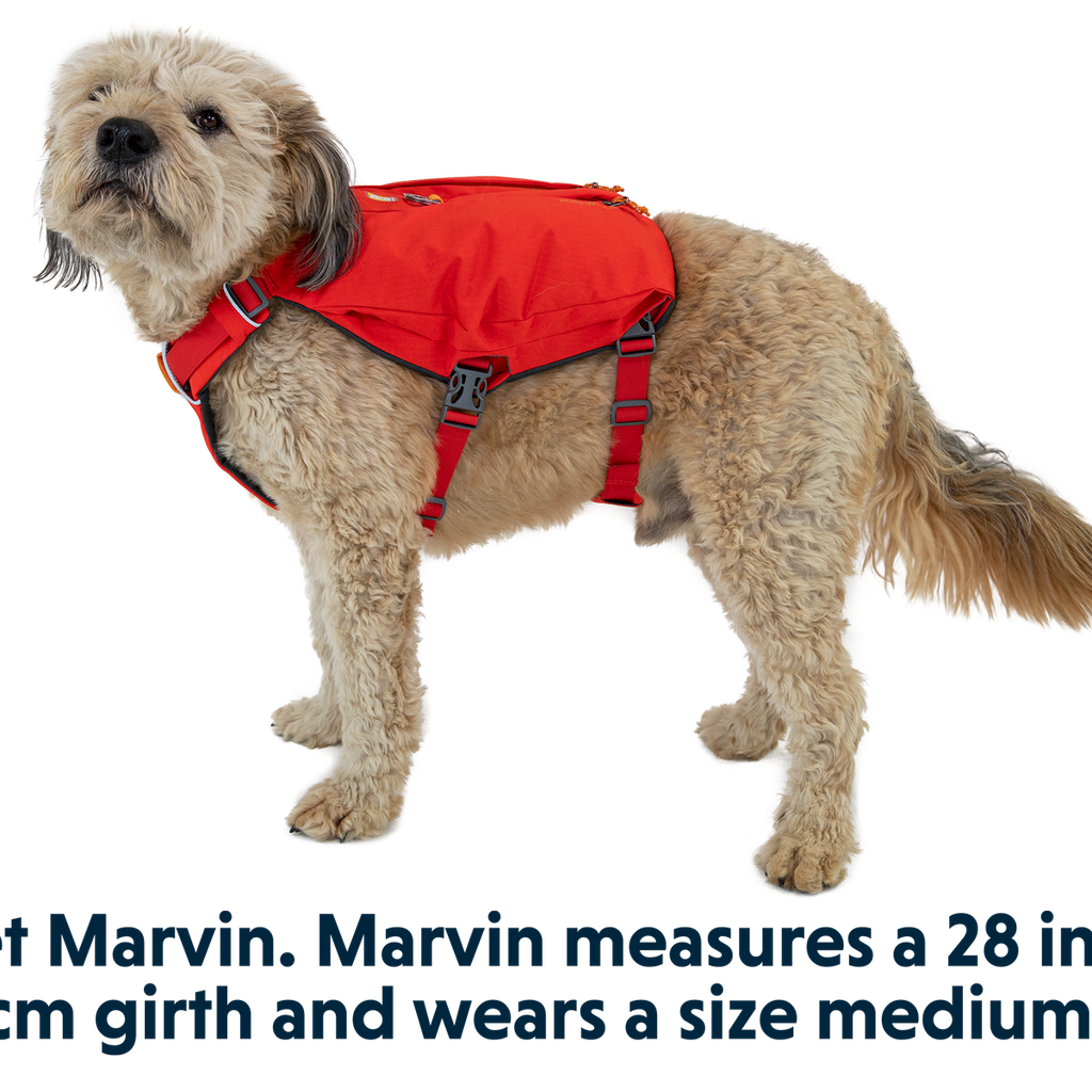 Switchbak™ Multi-Function Dog Harness | Ruffwear
