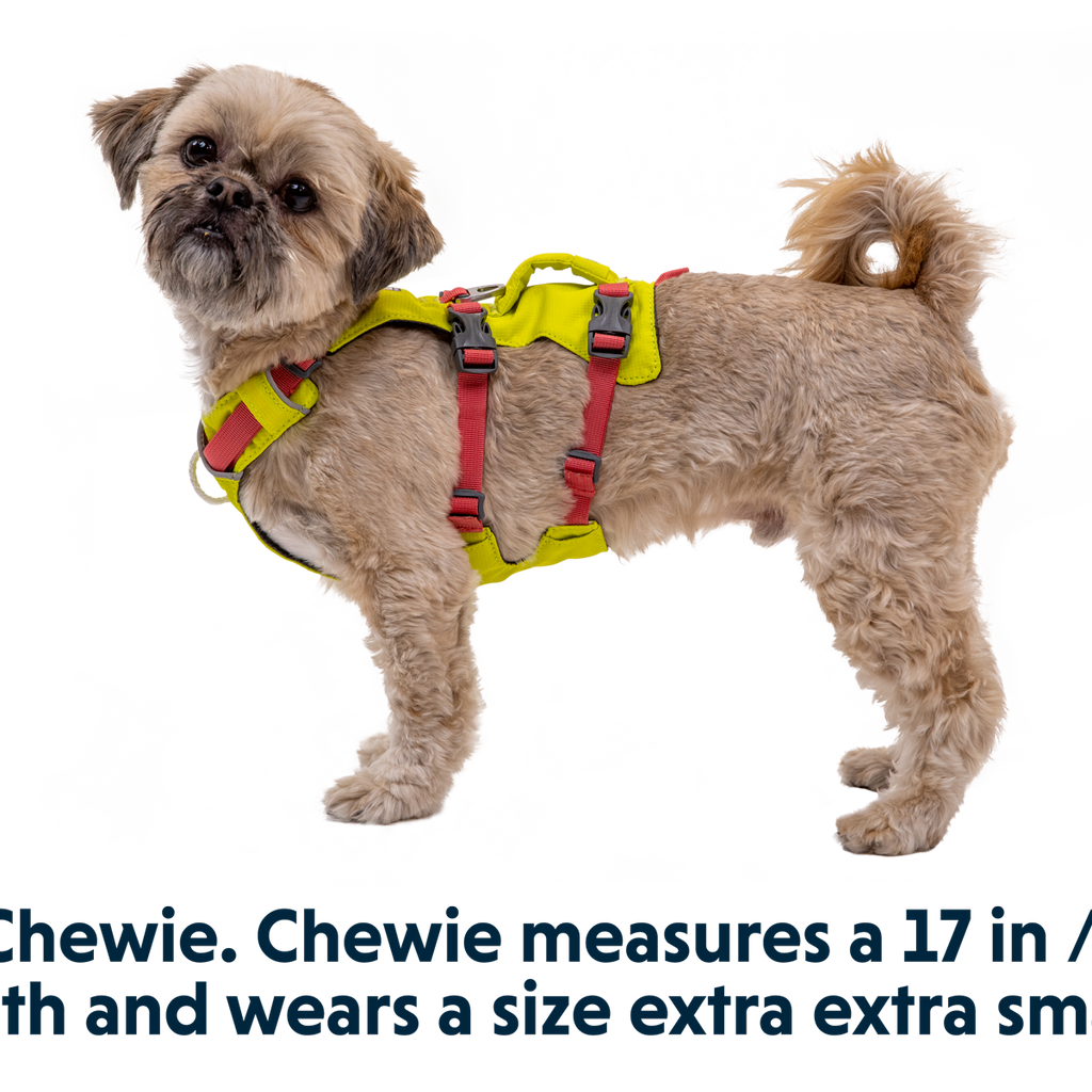 Flagline™ Dog Harness with Handle | Strong Lightweight Lift & Assist | Ruffwear