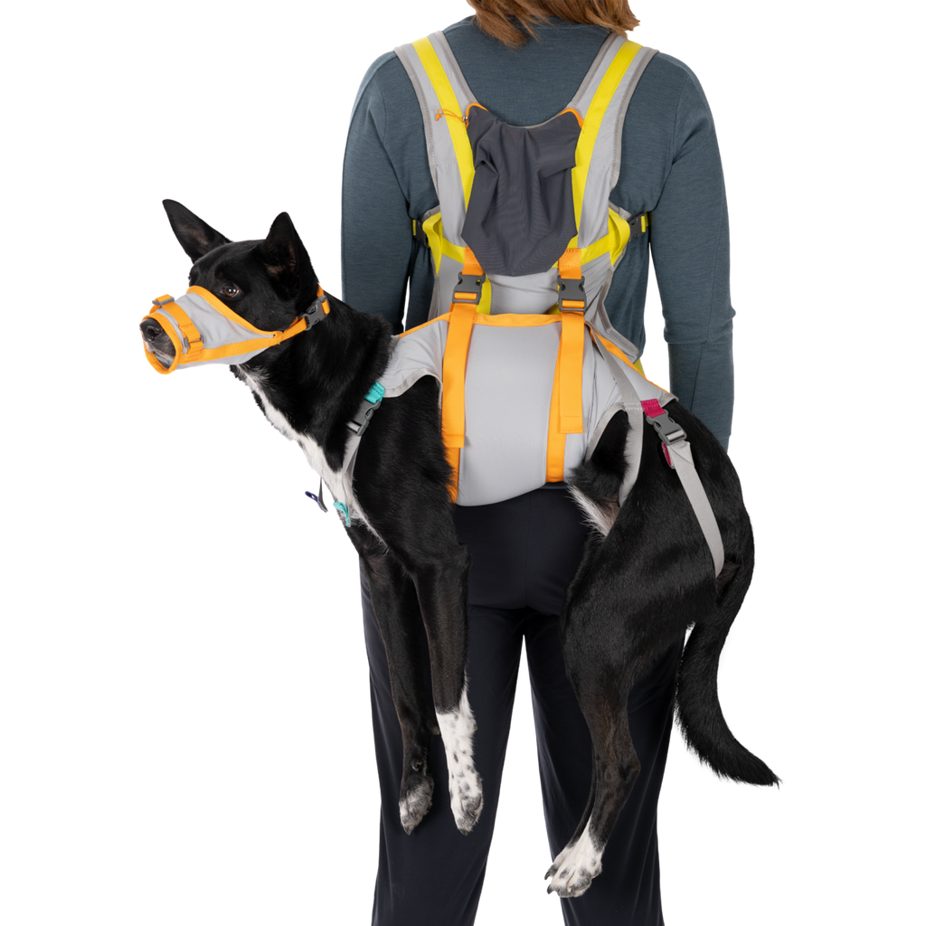 BackTrak™ Dog Sling Carrier Evacuation Kit | Ruffwear